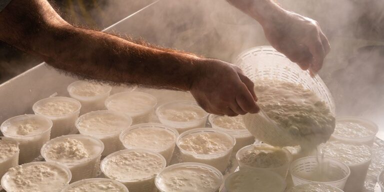 Tech&Bio - Découvrez le Salon Agricole International Tech&Bio